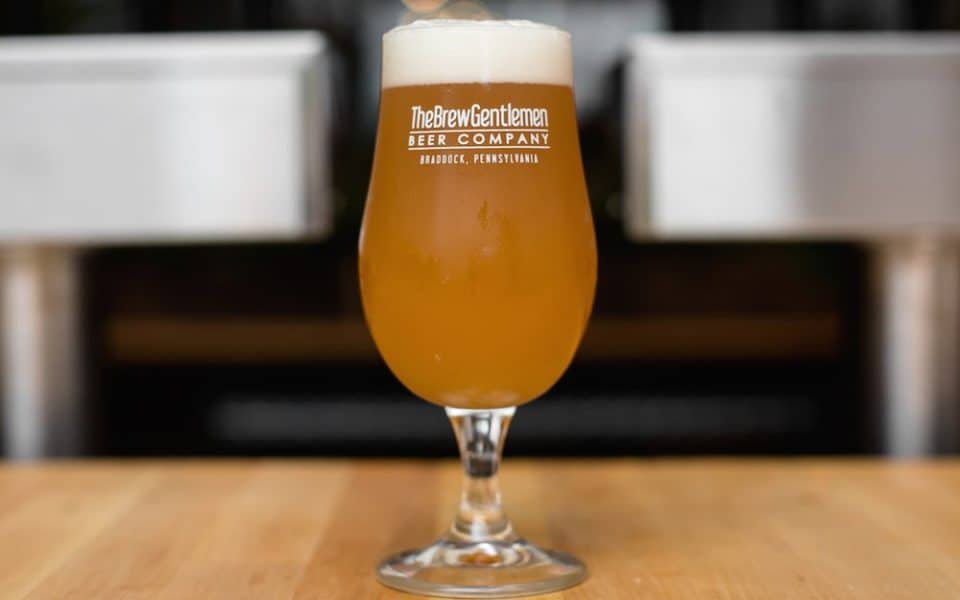 23 Best American IPAs Worthy of Your Table